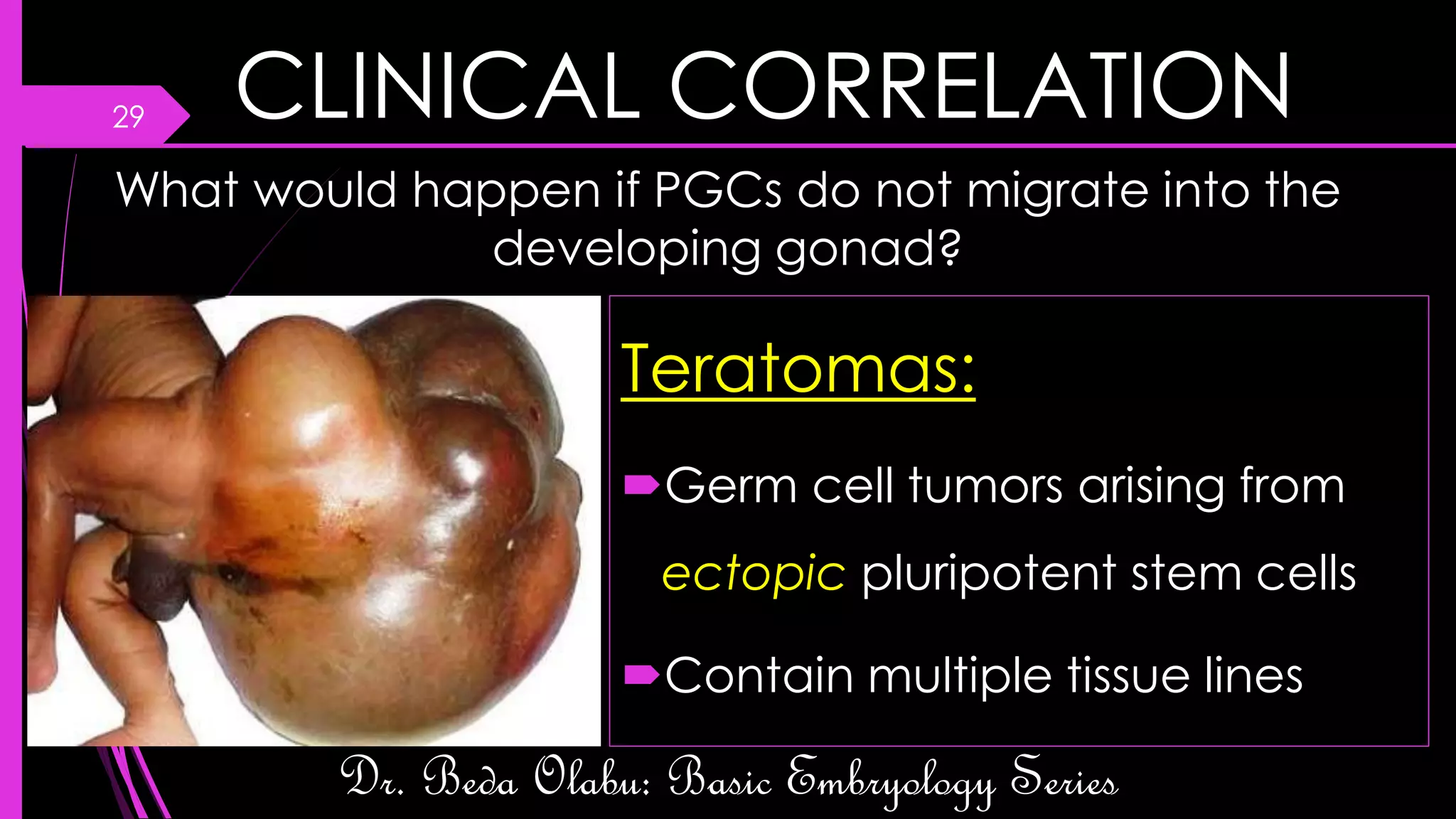 6 - BASIC EMBRYOLOGY SERIES.pdf