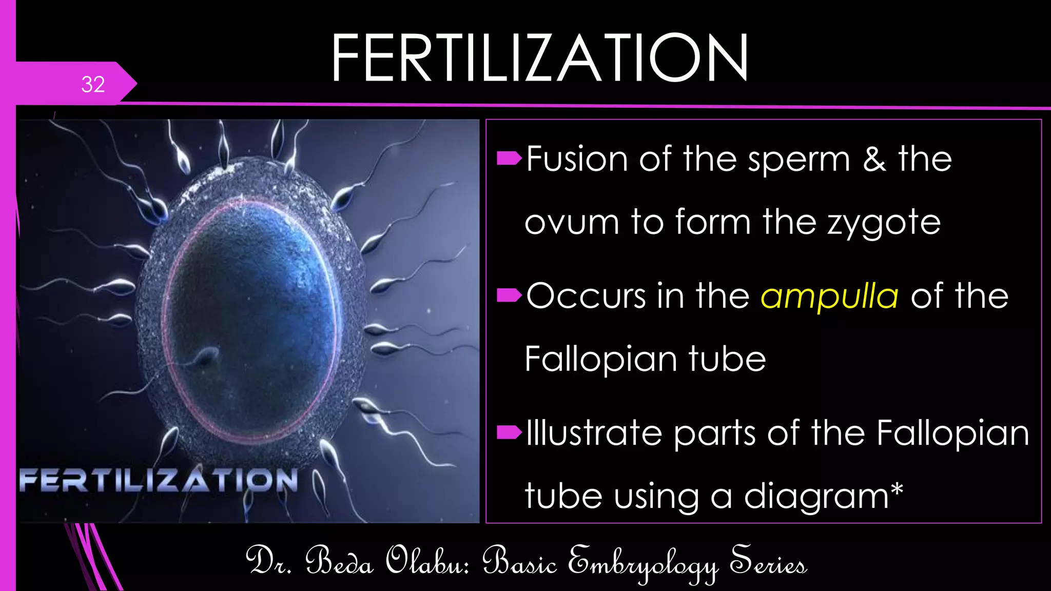 6 - BASIC EMBRYOLOGY SERIES.pdf