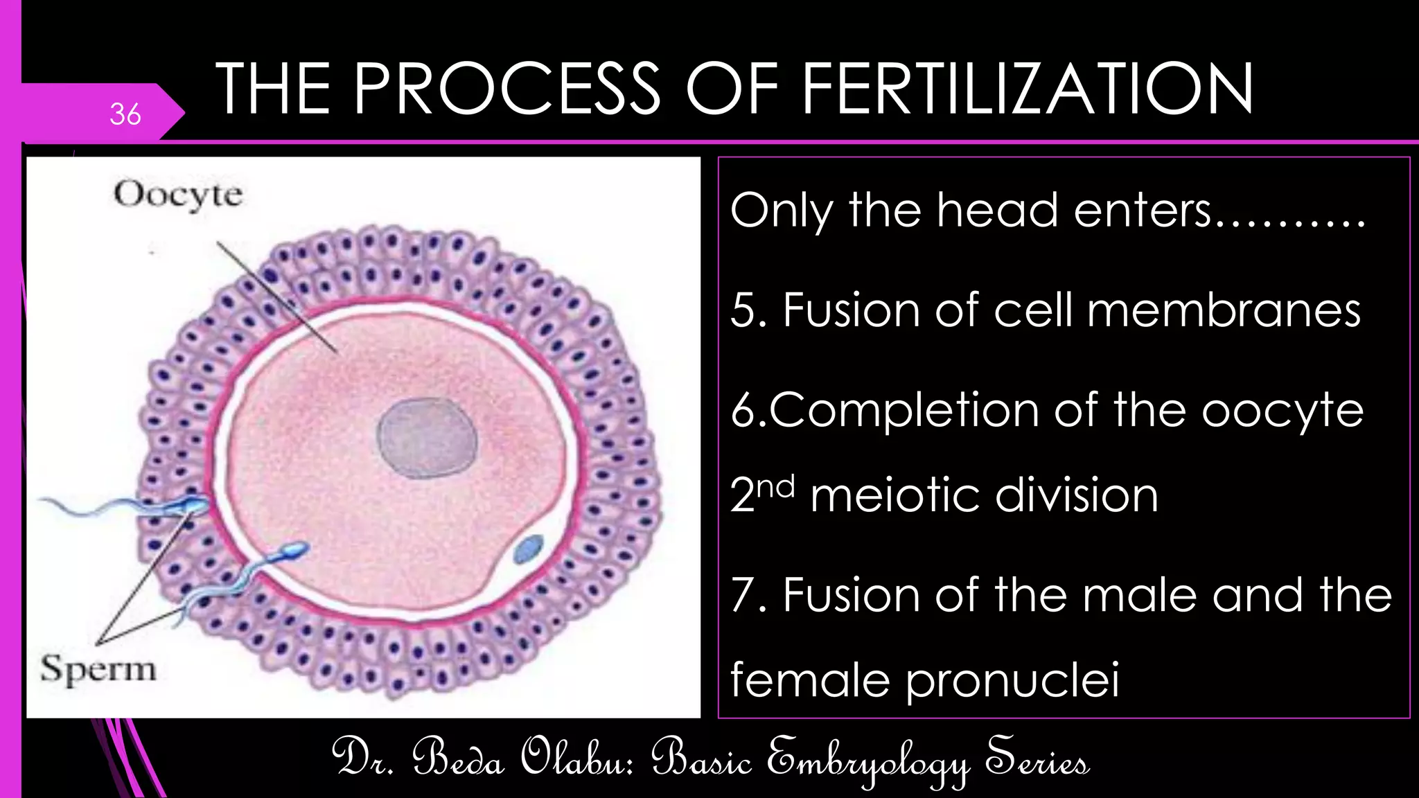 6 - BASIC EMBRYOLOGY SERIES.pdf