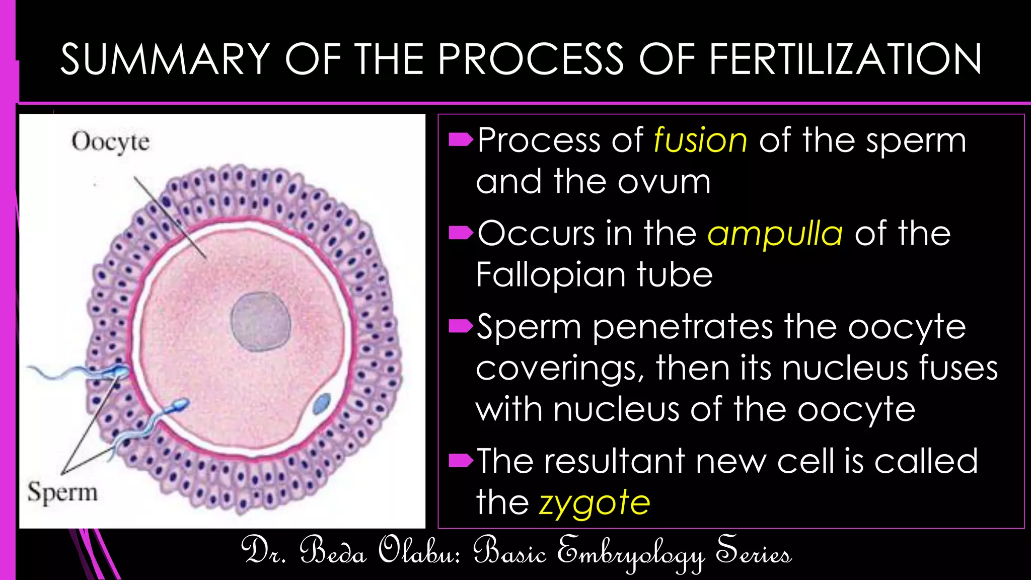 6 - BASIC EMBRYOLOGY SERIES.pdf
