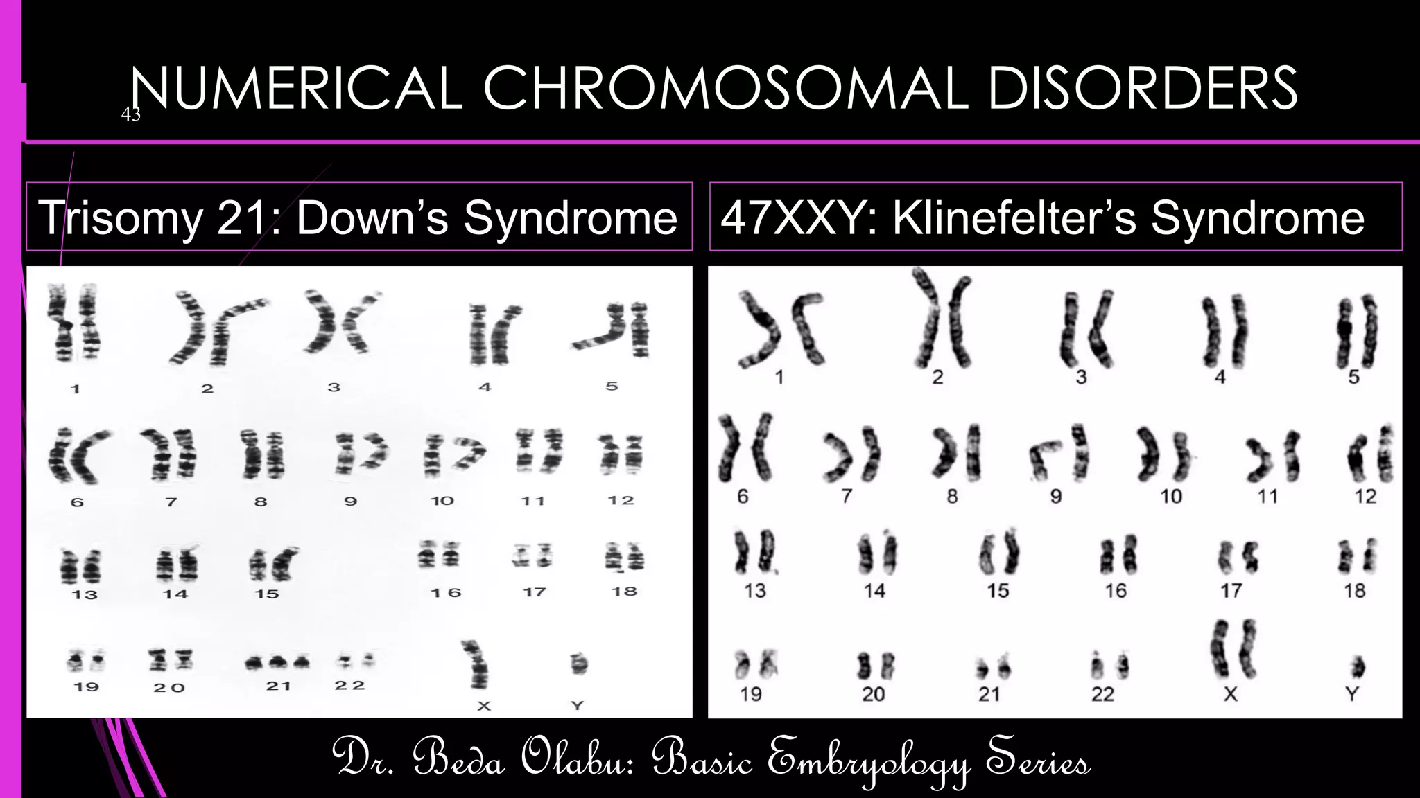 6 - BASIC EMBRYOLOGY SERIES.pdf
