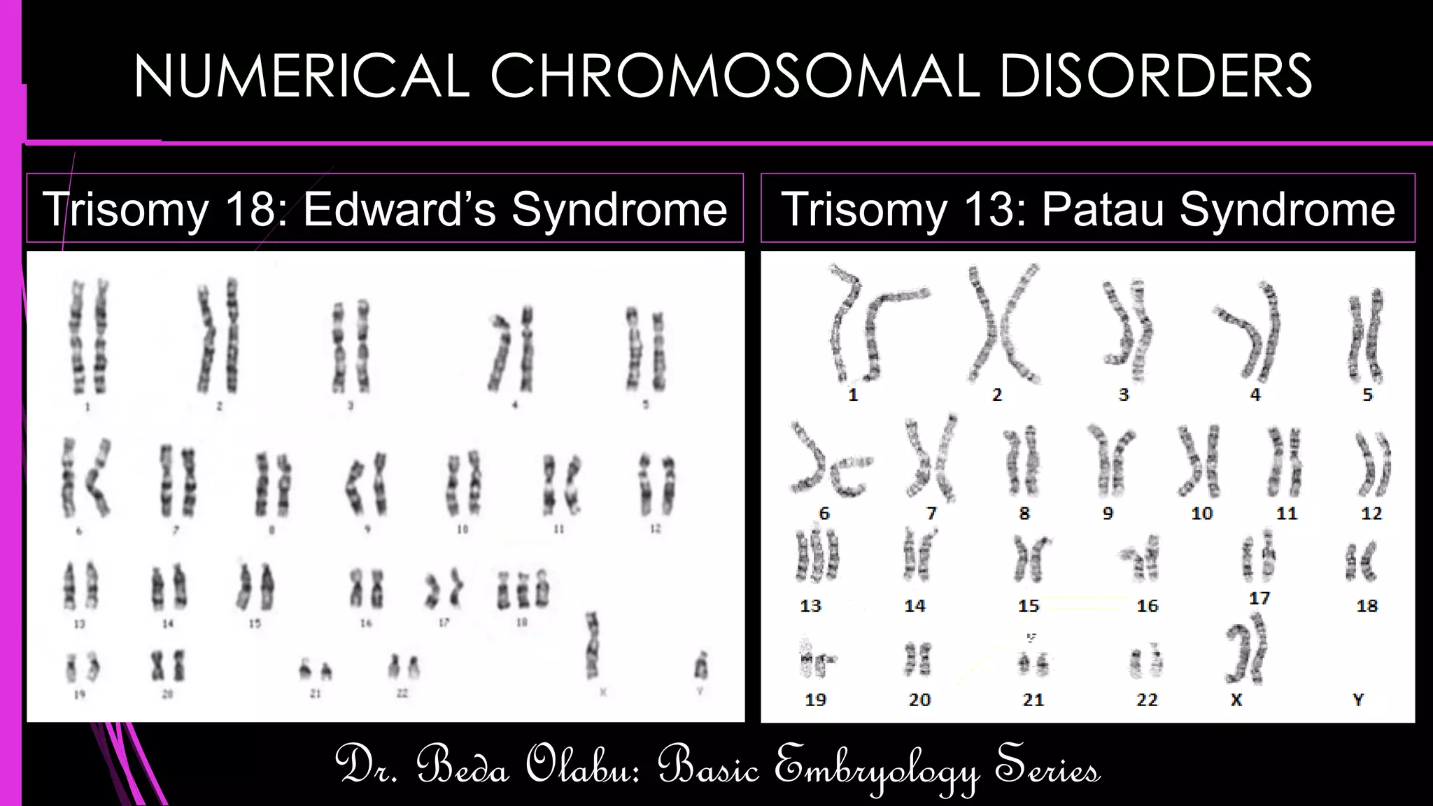 6 - BASIC EMBRYOLOGY SERIES.pdf