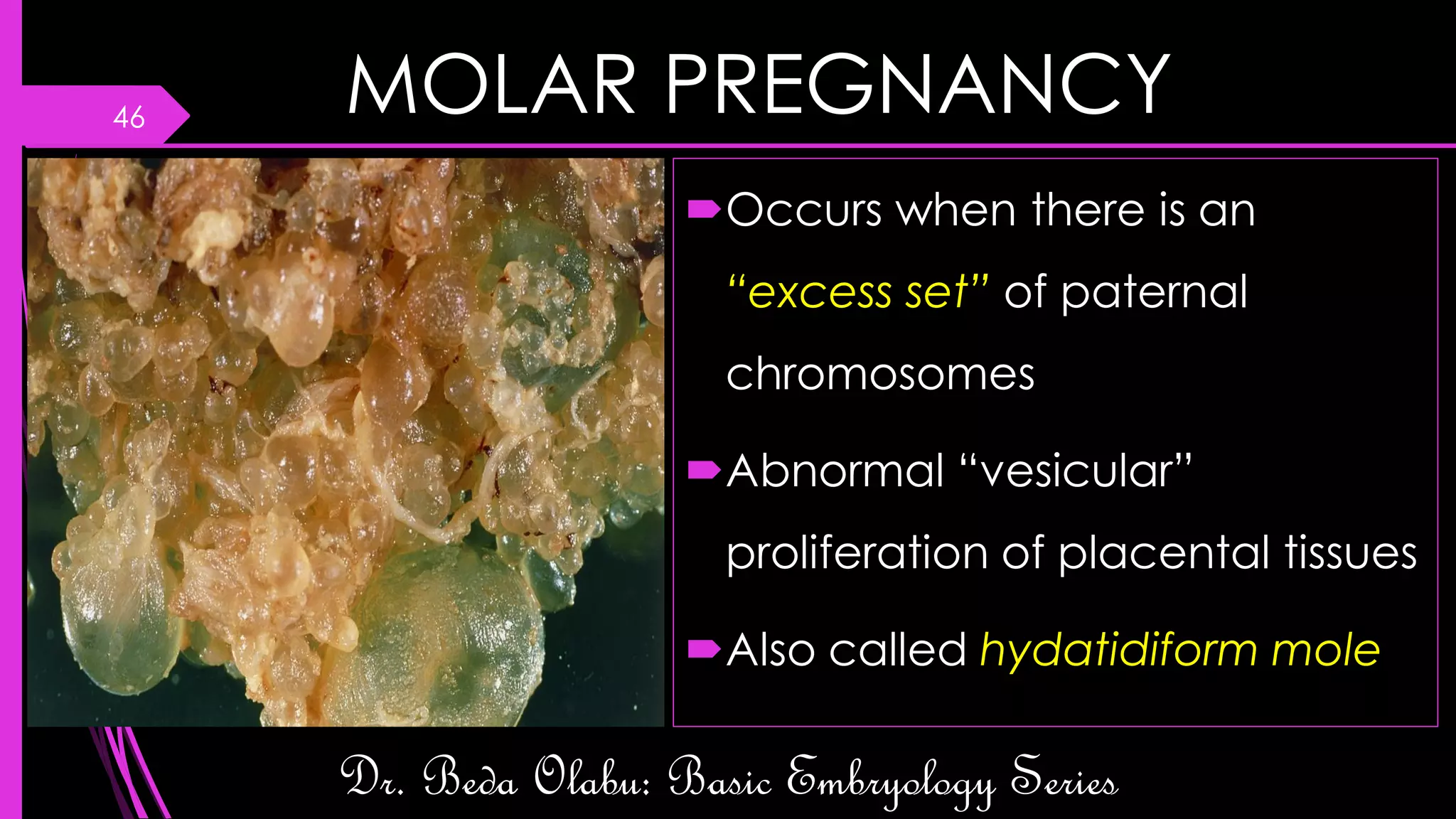 6 - BASIC EMBRYOLOGY SERIES.pdf