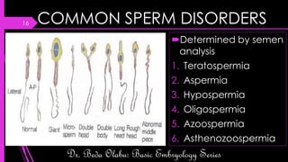 6 - BASIC EMBRYOLOGY SERIES.pdf