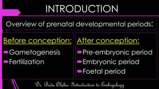 6 - BASIC EMBRYOLOGY SERIES.pdf