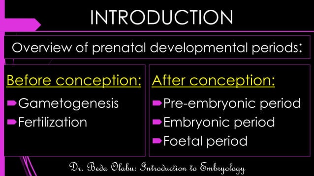 6 - BASIC EMBRYOLOGY SERIES.pdf