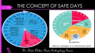 6 - BASIC EMBRYOLOGY SERIES.pdf