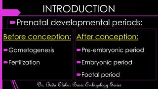 6 - BASIC EMBRYOLOGY SERIES.pdf