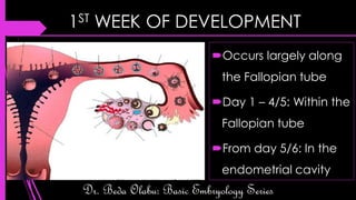 6 - BASIC EMBRYOLOGY SERIES.pdf