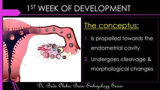 6 - BASIC EMBRYOLOGY SERIES.pdf