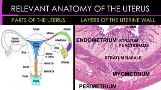 6 - BASIC EMBRYOLOGY SERIES.pdf