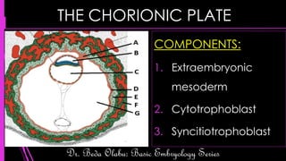 6 - BASIC EMBRYOLOGY SERIES.pdf