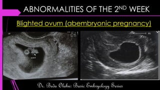 6 - BASIC EMBRYOLOGY SERIES.pdf
