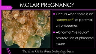 6 - BASIC EMBRYOLOGY SERIES.pdf