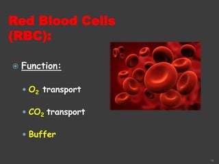6- Blood Physiology.ppt