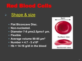 6- Blood Physiology.ppt