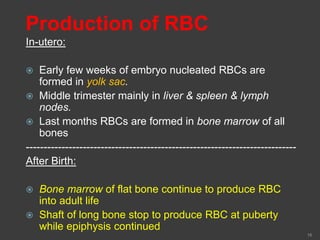 6- Blood Physiology.ppt