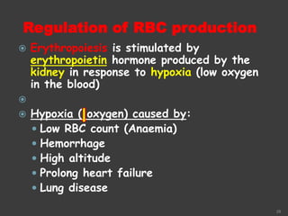 6- Blood Physiology.ppt
