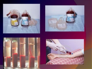 6- Blood Physiology.ppt