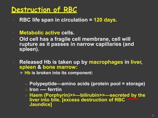 6- blood physiology.pptx