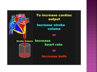 6-CARDIAC_OUTPUT-Presentation -1-1-1.ppt
