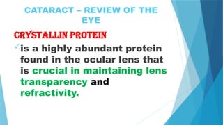 6-CATARACT.pptx perception in nursing ..... | PPTX