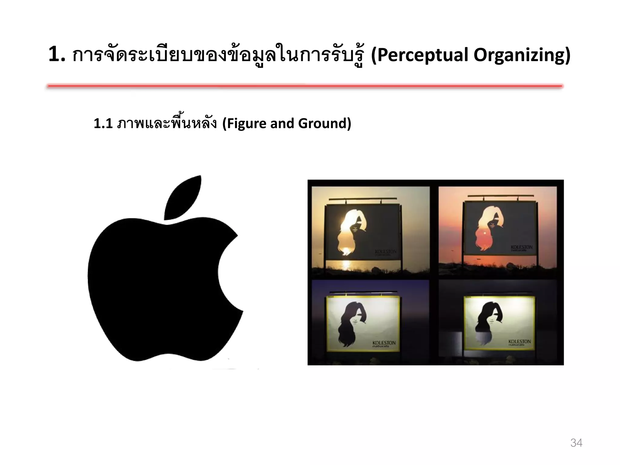 Perception,learning,memory (Ch.6), Consumer Behavior Class | PDF