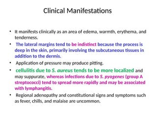 6-Cellulitis.pptxuuuuuuuuuuuuuuuuuuuuuuuuuu | PPT