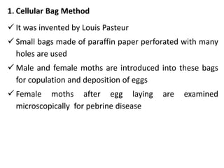 6 chapter steps in silkworm egg production at grainage, egg sheets and ...