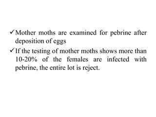 6 chapter steps in silkworm egg production at grainage, egg sheets and ...