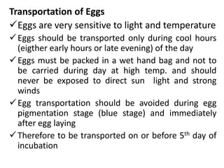 6 chapter steps in silkworm egg production at grainage, egg sheets and ...