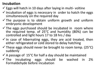 6 chapter steps in silkworm egg production at grainage, egg sheets and ...