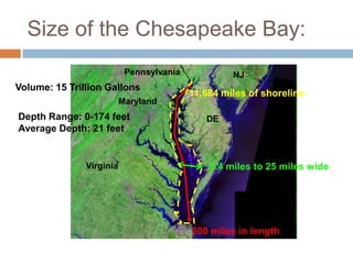 6. Chesapeake Bay Notes | PPTX