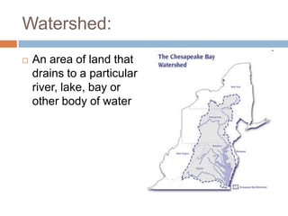 6. Chesapeake Bay Notes | PPTX
