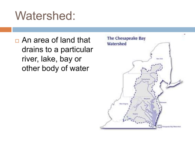 6. Chesapeake Bay Notes | PPTX | Geography | Science