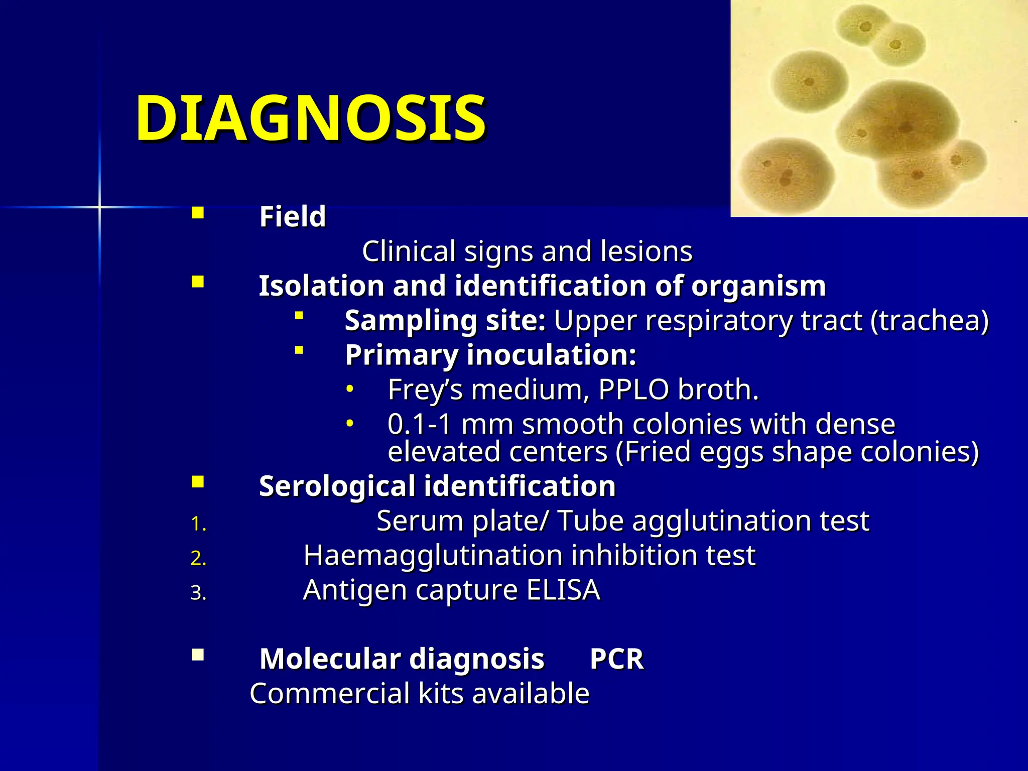 6-Chronic Respiratory chronic Disease 2017.ppt