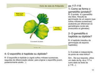 6 ciclos de-vida_ciclos_biologicos_ | PPT