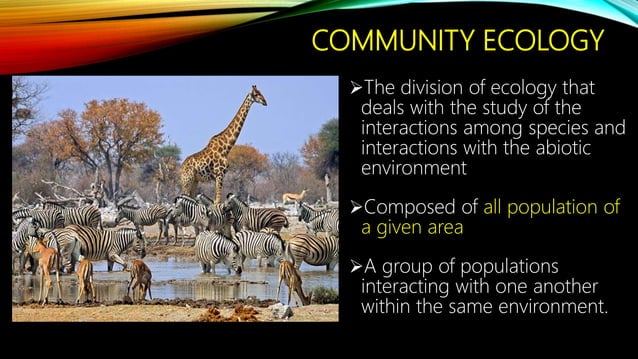ENVI 6 community ecology FINAL | PPTX
