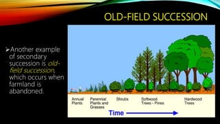 ENVI 6 community ecology FINAL | PPTX