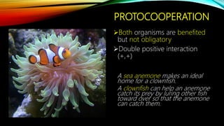 ENVI 6 community ecology FINAL | PPTX