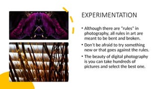 6-Composition-Rules of Composition for high school students | PPT