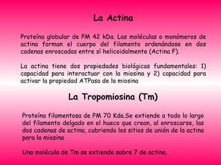 6. Contmuscular | PPT