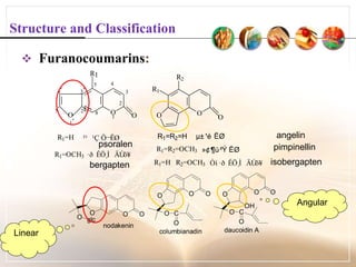 Coumarin from The natural Products and their role in Health | PPT
