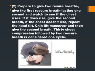Cardio Pulmonary Resuscitation - CPR Demonstration | PPTX
