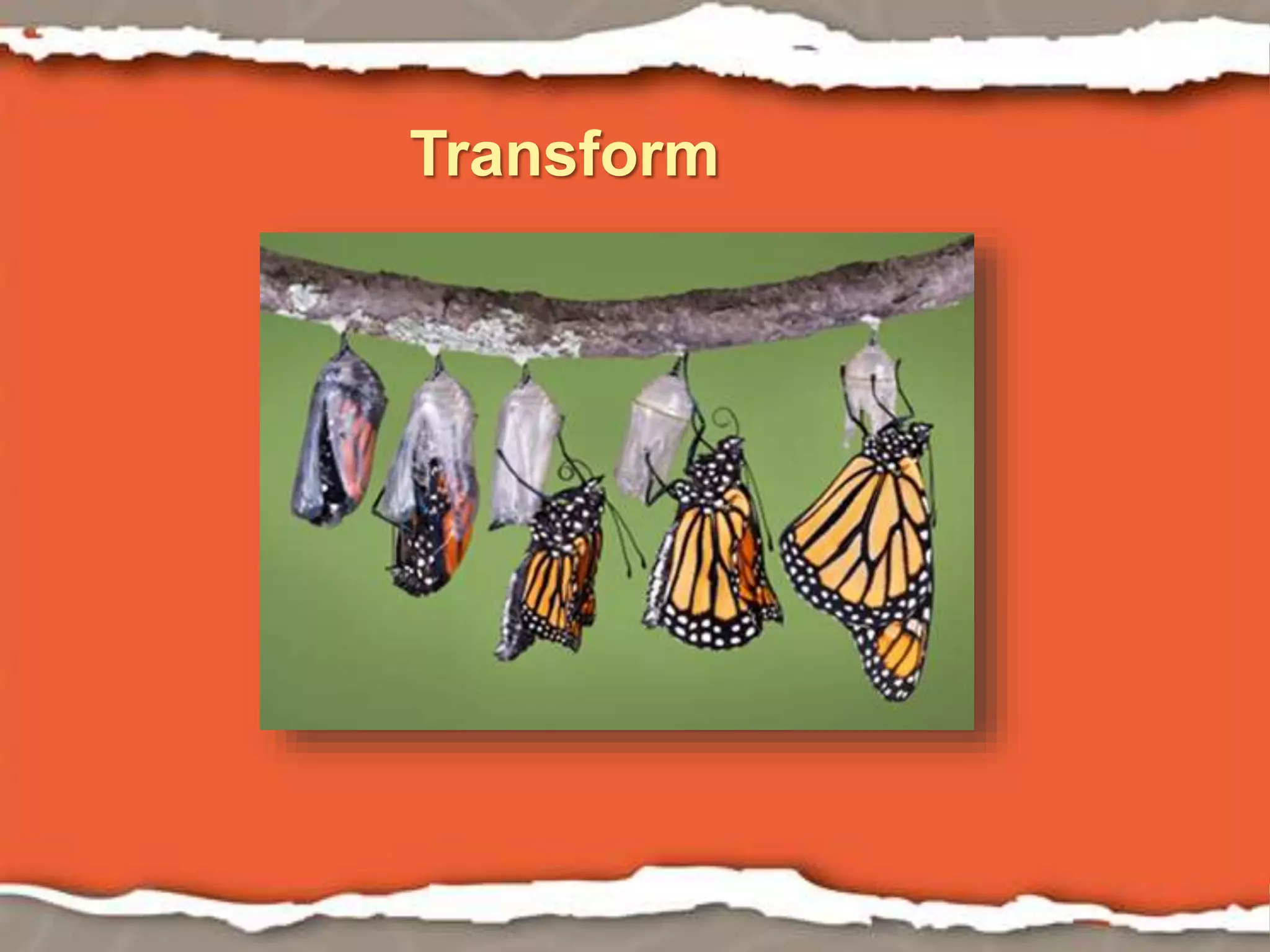 6 Developing Transformative Education | PPTX