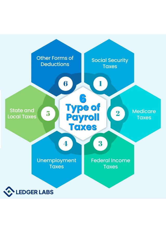 6 different types of payroll taxes -Ledger Labs | PDF