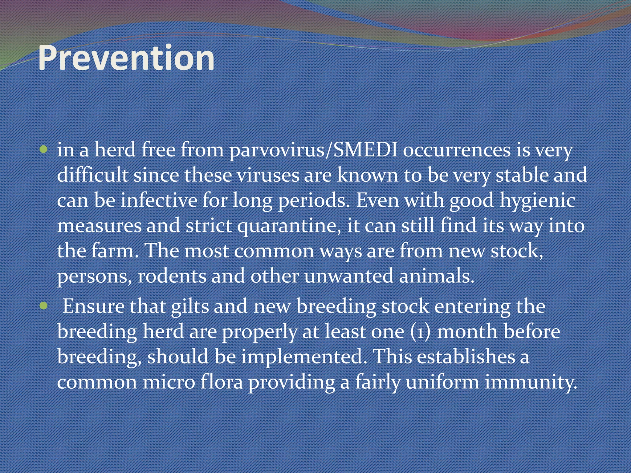 6. different kinds of swine diseases | PPTX
