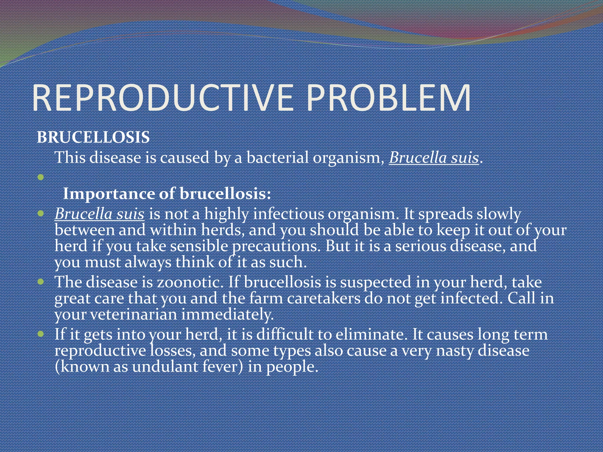 6. different kinds of swine diseases | PPTX