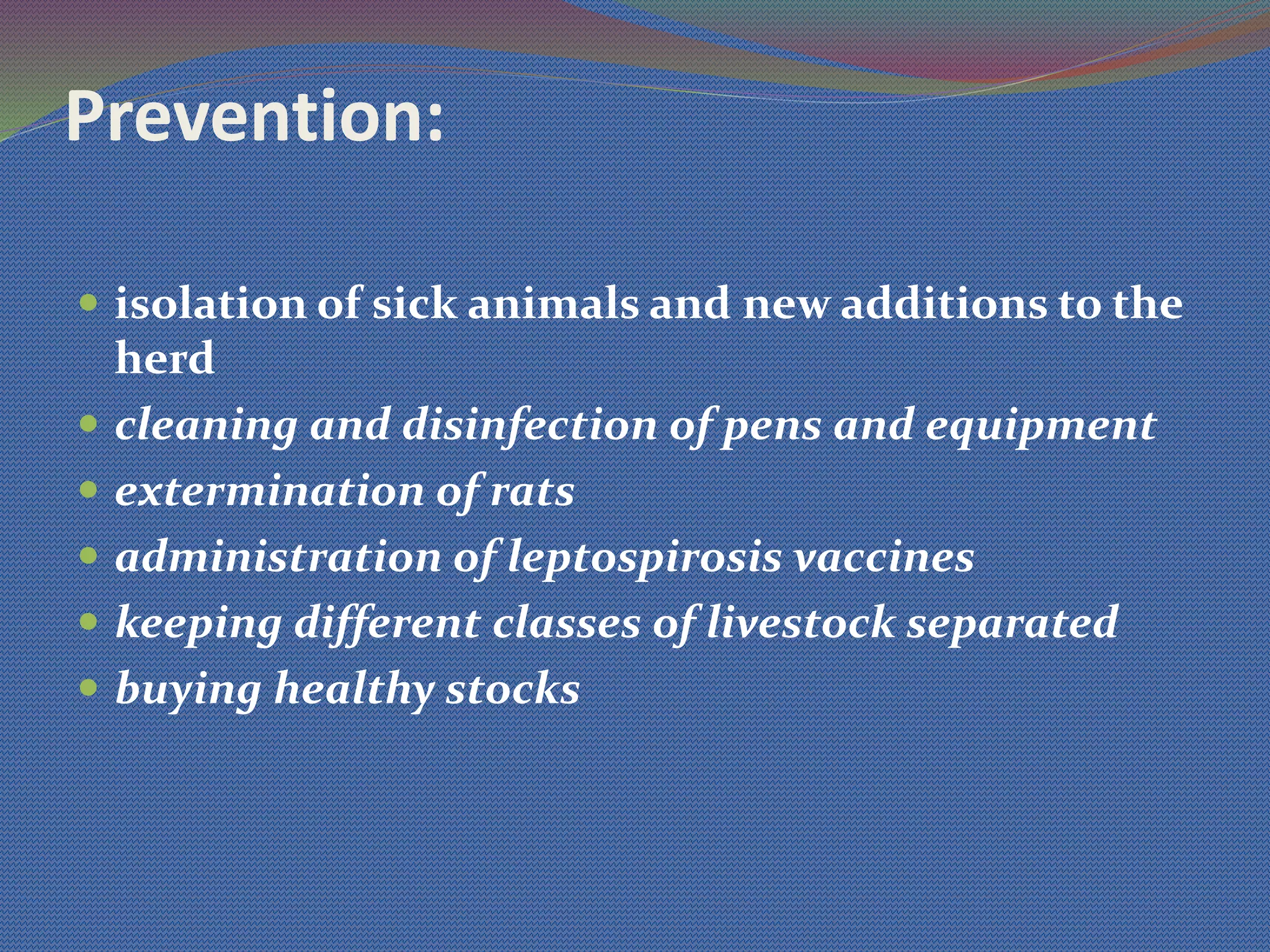 6. different kinds of swine diseases | PPTX