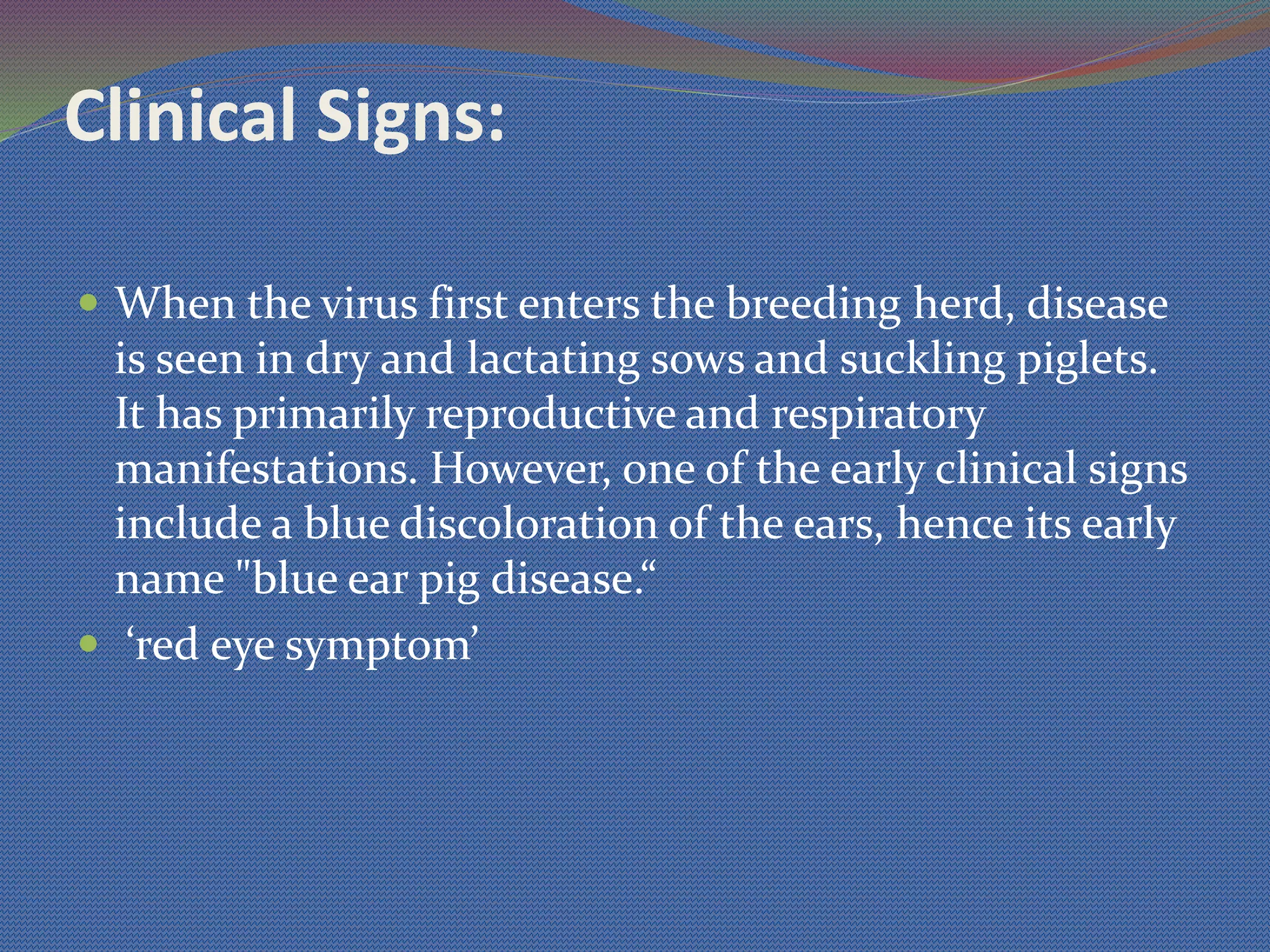 6. different kinds of swine diseases | PPTX